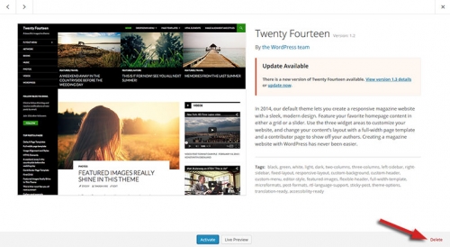 10 Most Important Things to Do After Installing WordPress - ThemeSkills