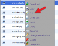 What to Do If You Can't Change the Site and WordPress Address (URL) - ThemeSkills