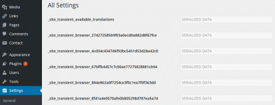 How to Access the Hidden Settings Panel in WordPress - ThemeSkills
