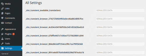 How to Access the Hidden Settings Panel in WordPress - ThemeSkills
