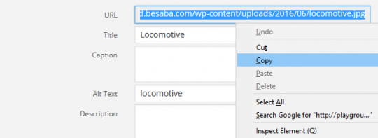 How to Find the URL of an Image in WordPress - ThemeSkills