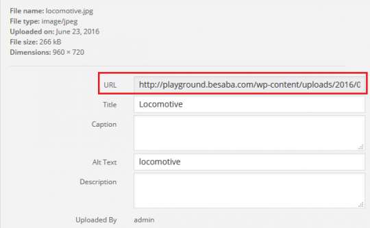 How to Find the URL of an Image in WordPress - ThemeSkills