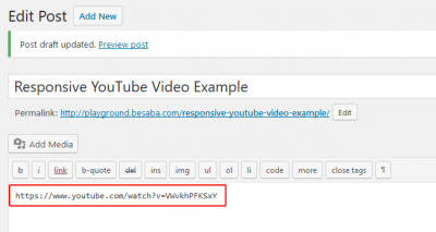 How to Make Embedded YouTube Videos Responsive in WordPress - ThemeSkills