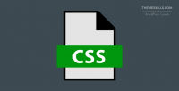 5 Ways to Add Custom CSS to Your WordPress Website - ThemeSkills