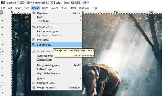 Detailed Tutorial: How to Use GIMP to Optimize Images for WordPress - ThemeSkills