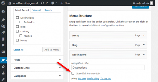 How to Make a Menu Item Open in a New Tab in WordPress - ThemeSkills