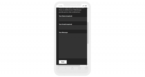 How to Make Contact Form 7 Full Width and Responsive - ThemeSkills