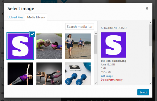 How to Create and Add a Site Icon (Favicon) in WordPress - ThemeSkills