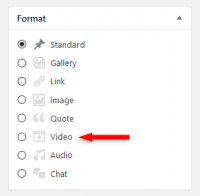 How to Add a Featured Video to Your WordPress Posts - ThemeSkills