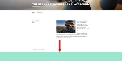 How to Change the Background Color of a Single Page in WordPress - ThemeSkills