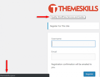 How to Change the Login WordPress Logo and Its URL Without a Plugin - ThemeSkills